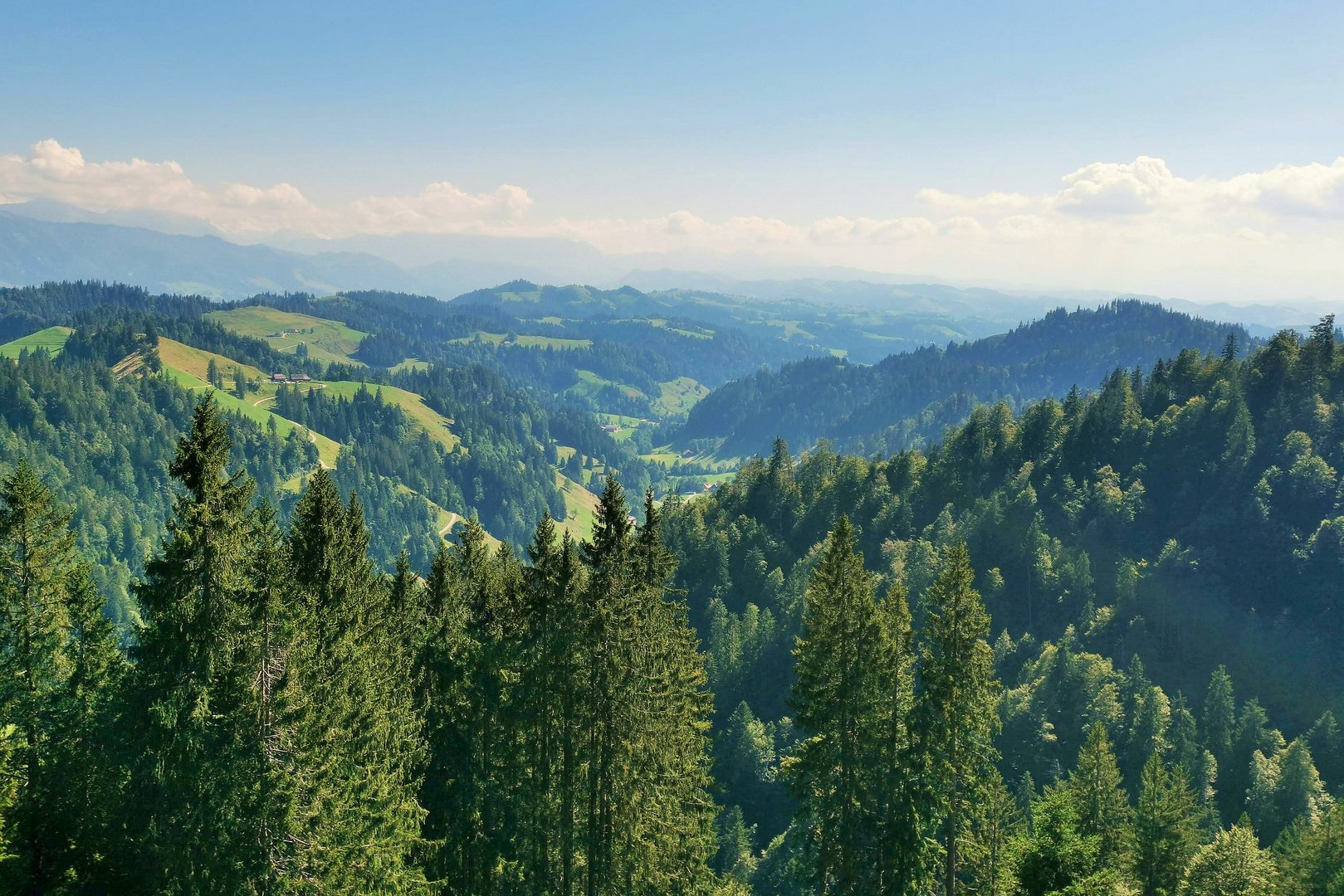 Holzheizung: Nachhaltig und wirtschaftlich – Jenni Energietechnik